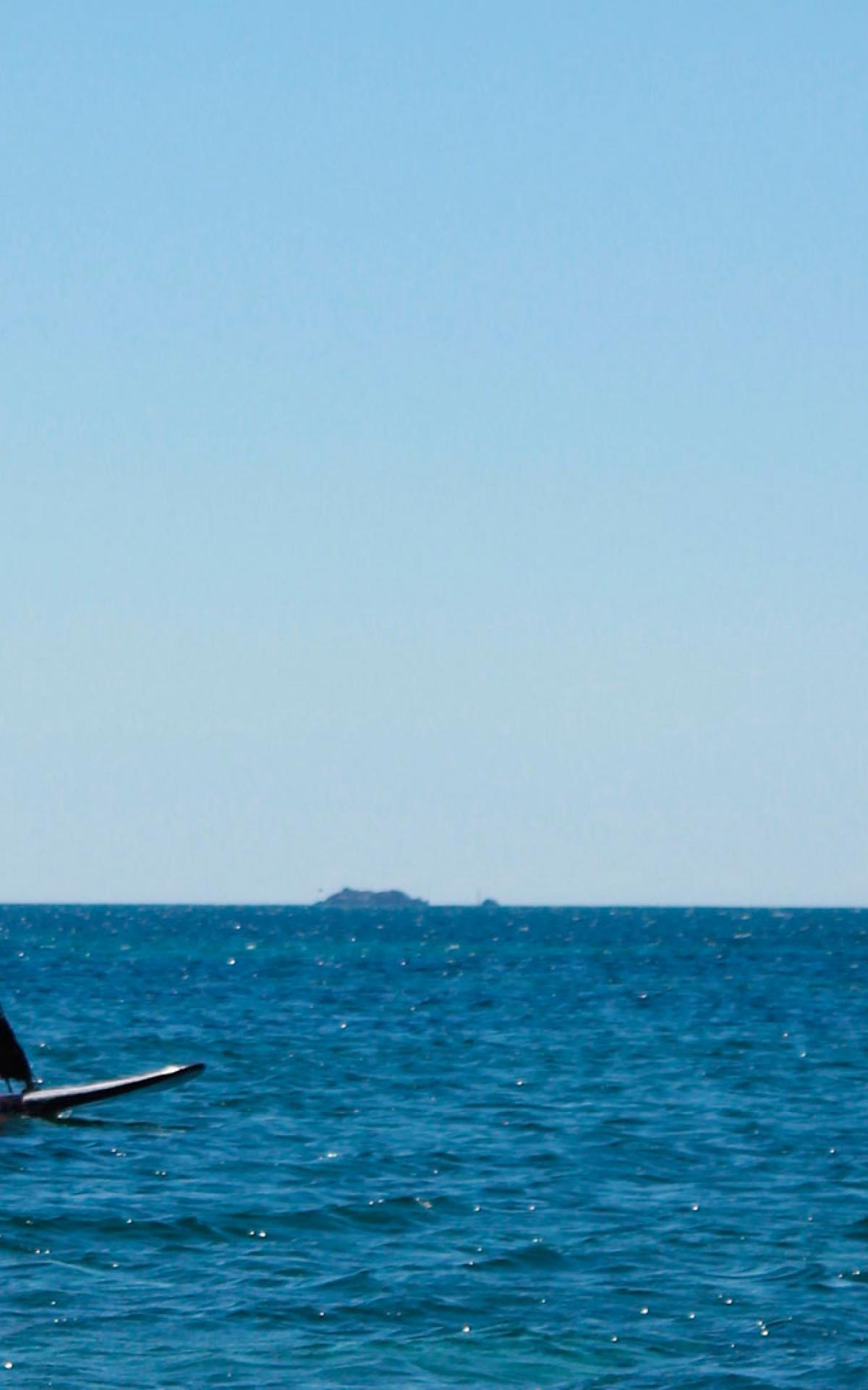 La végétation en Provence