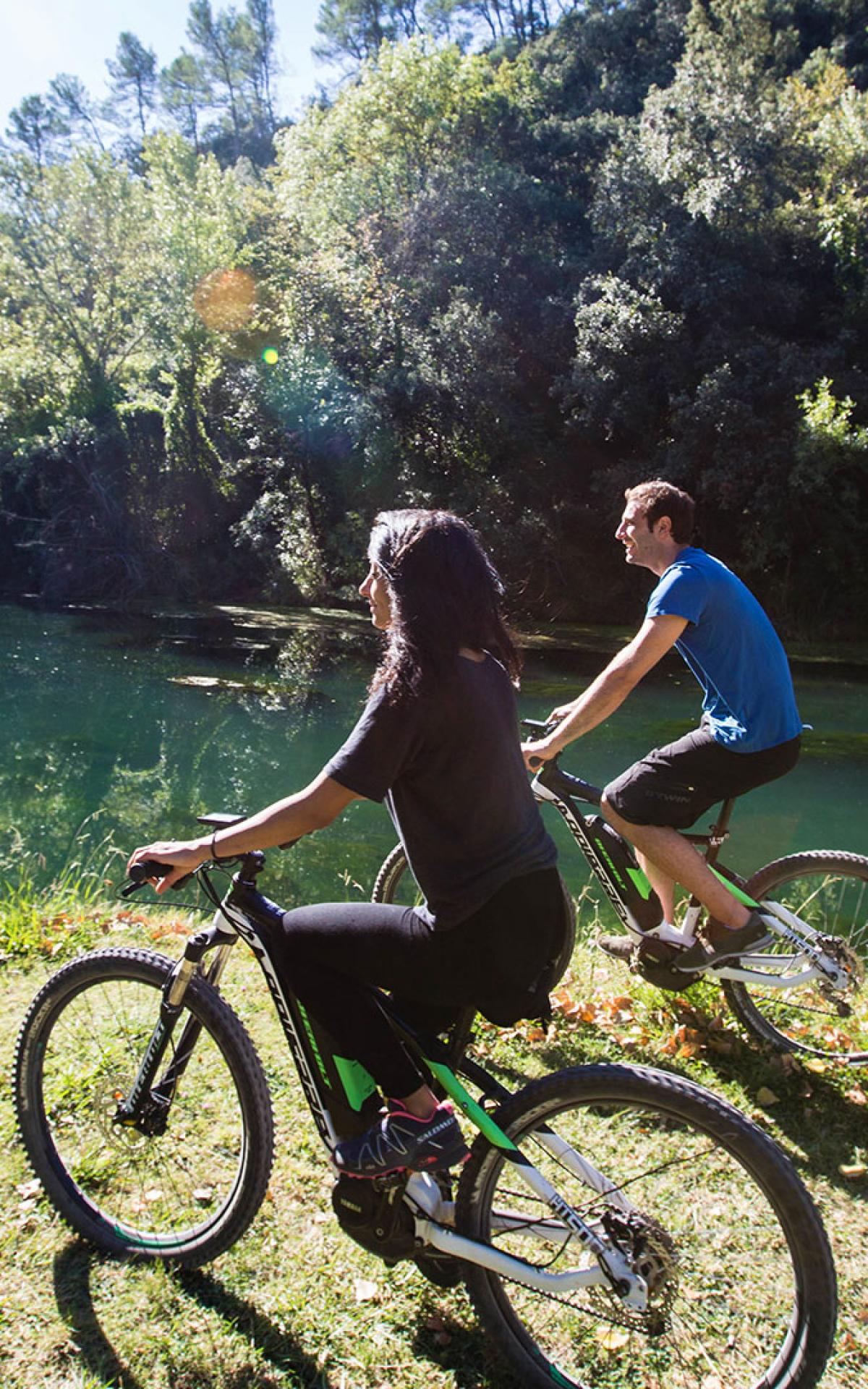 La végétation en Provence