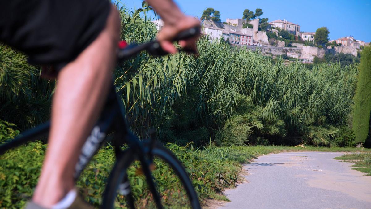 Want to get outdoors? Explore our top 10 nature walks in Provence