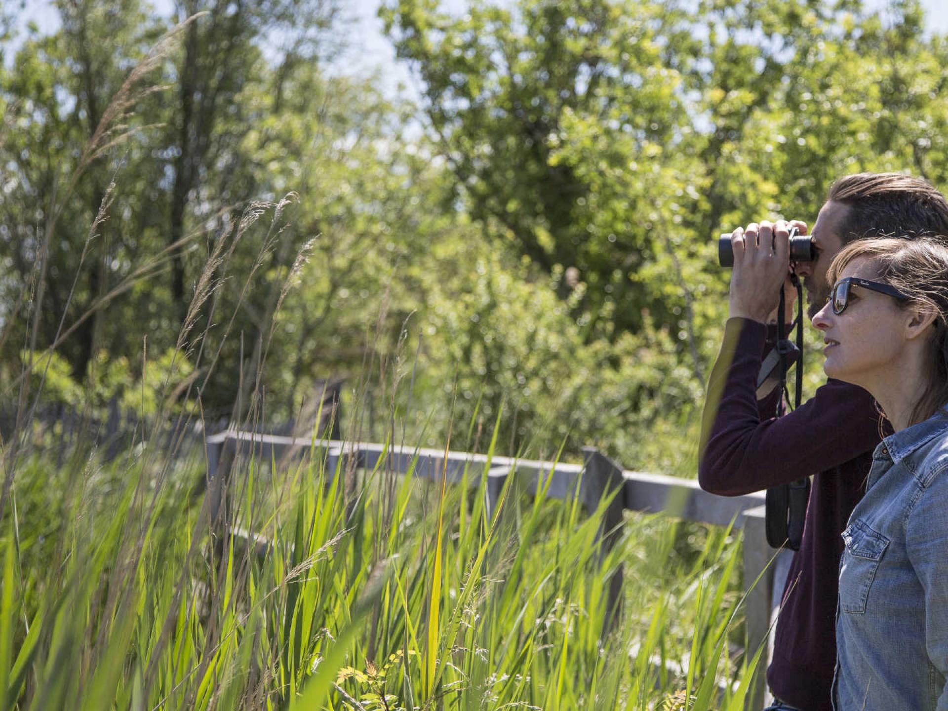 La Plaine de La Crau, entre Alpilles et Camargue | Provence-Alpes-Côte ...