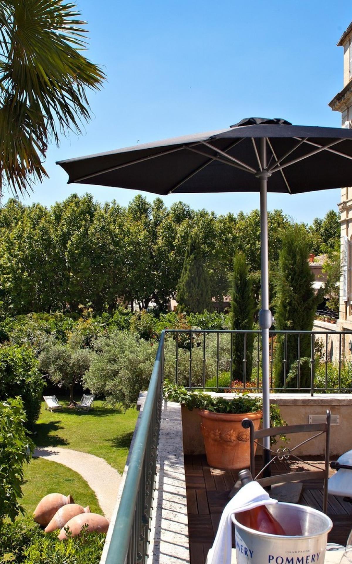 La végétation en Provence