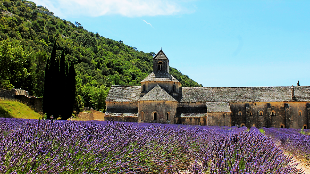 Explore the diverse delights of Provence like a local