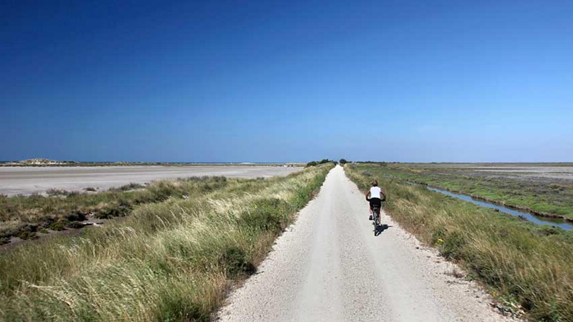 Die Mittelmeer-Route mit dem Rad in Südostfrankreich