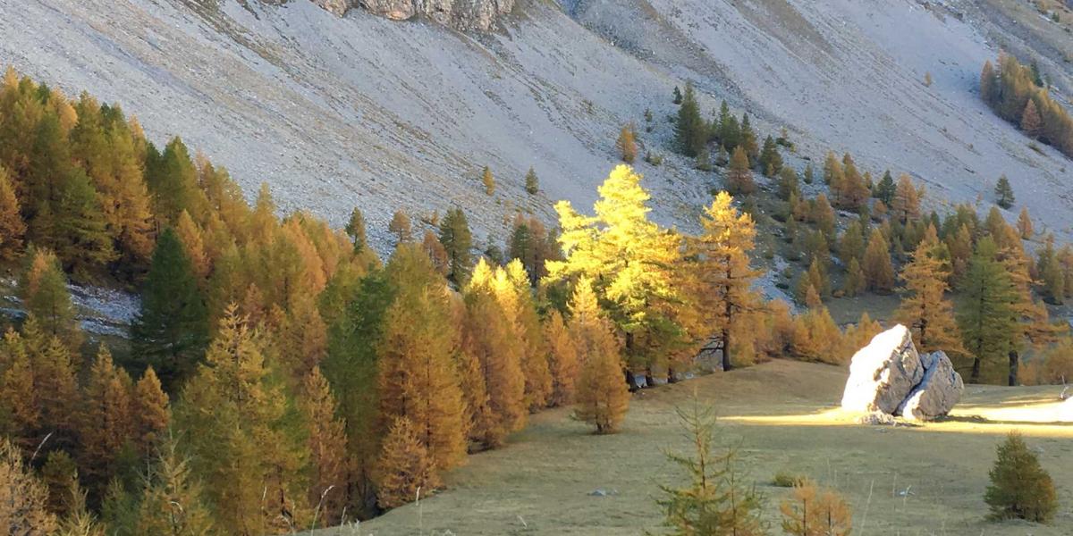 The GR56 Trek: The best backpacking and hiking in the heart of Ubaye
