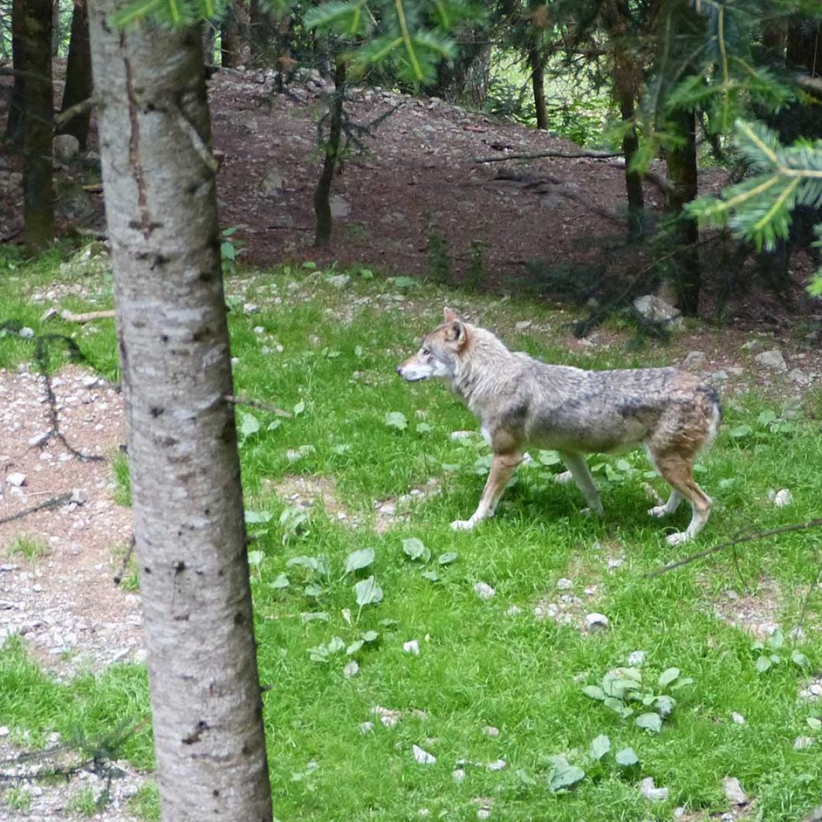 Zoo de la Barben : parc zoologique | Provence-Alpes-Côte d'Azur Tourisme