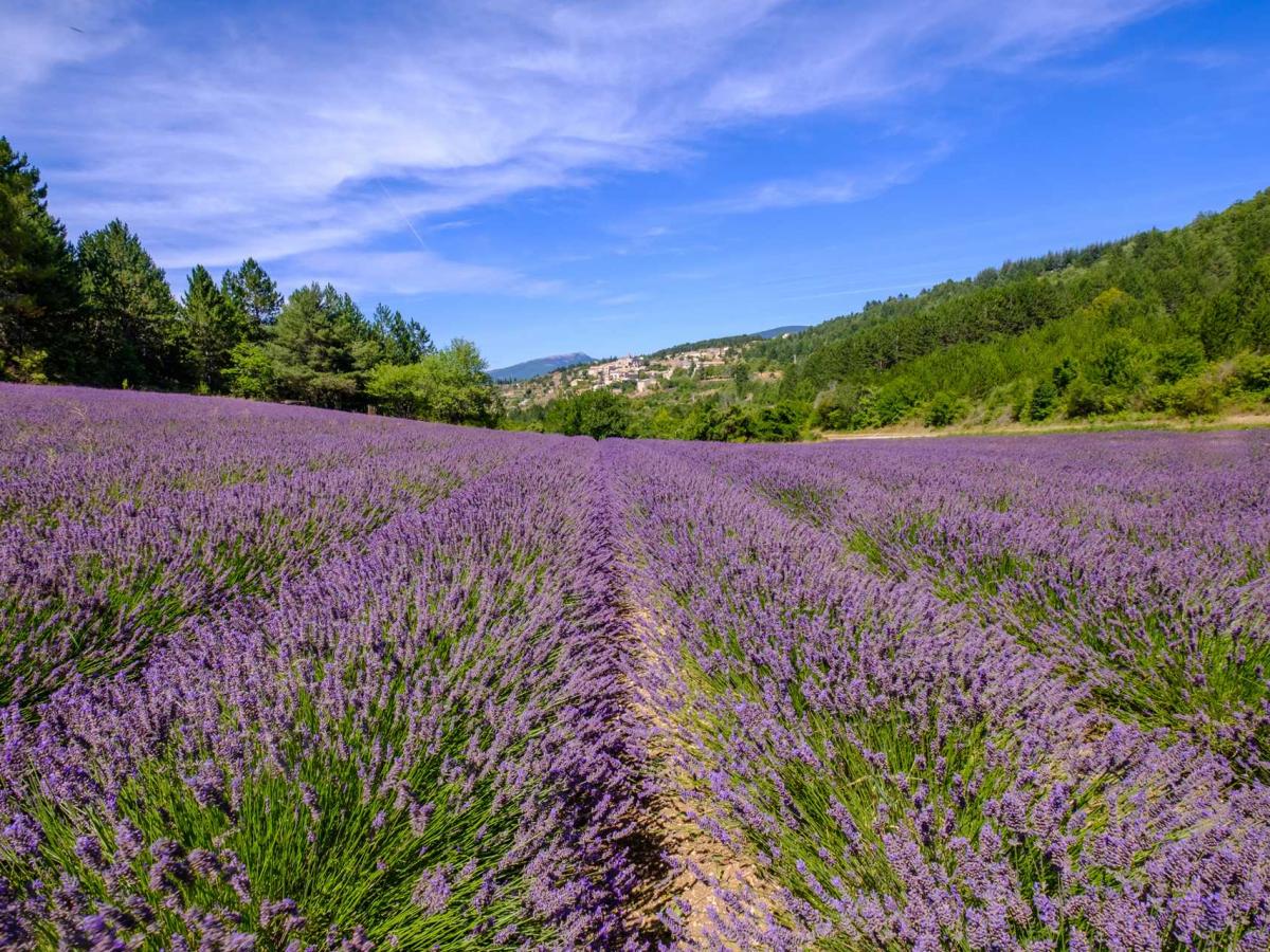 Provence-Alpes-Côte d’Azur Weather: When to Visit?
