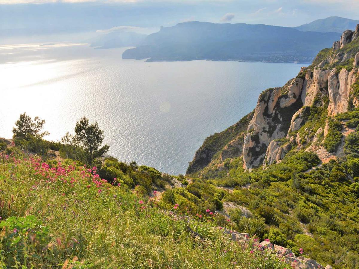 Marchés de Cassis | Provence-Alpes-Côte d'Azur Tourisme