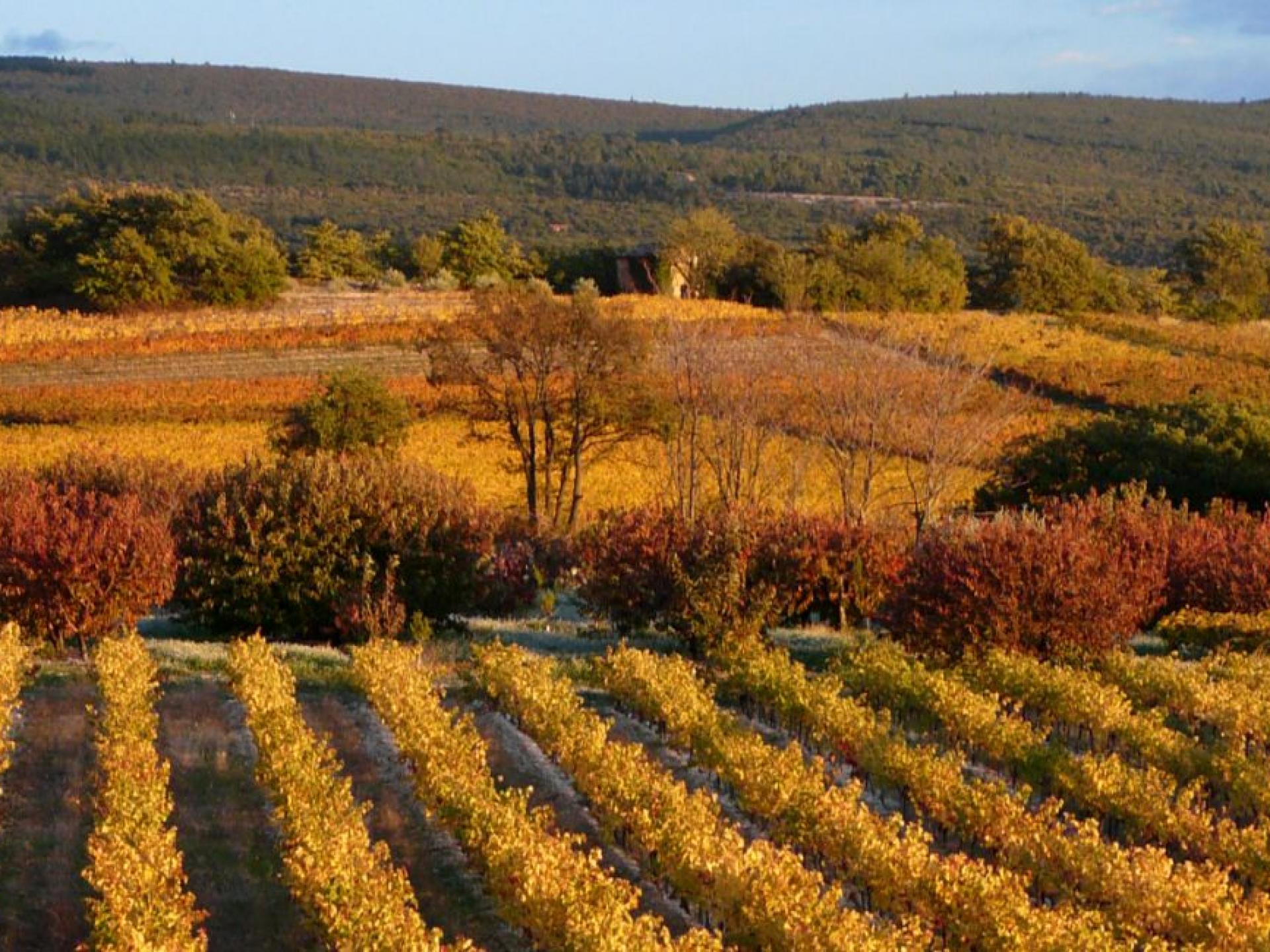 The Best Itineraries in Provence | Provence-Alpes-Côte d'Azur Tourism