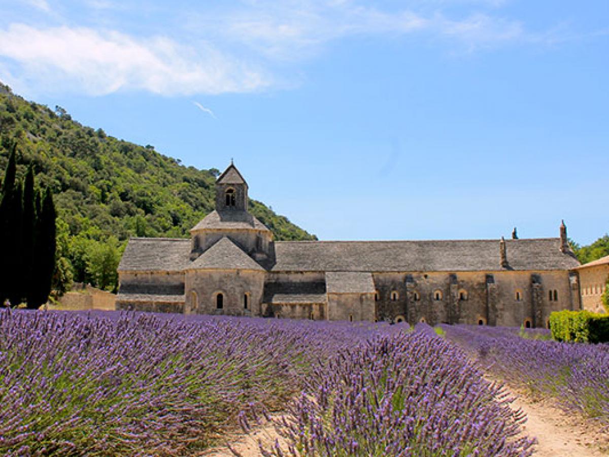 Visit the sublime and spiritual Cisterican Abbeys of Provence