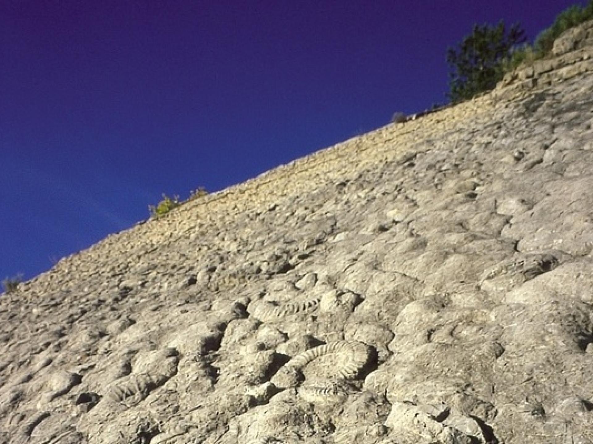 Explore our Haute-Provence UNESCO Geopark Guide