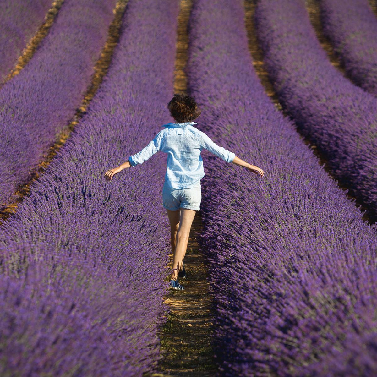 Grasse: Geheimtipps und Sehenswürdigkeiten | Provence-Alpes-Côte d’Azur ...