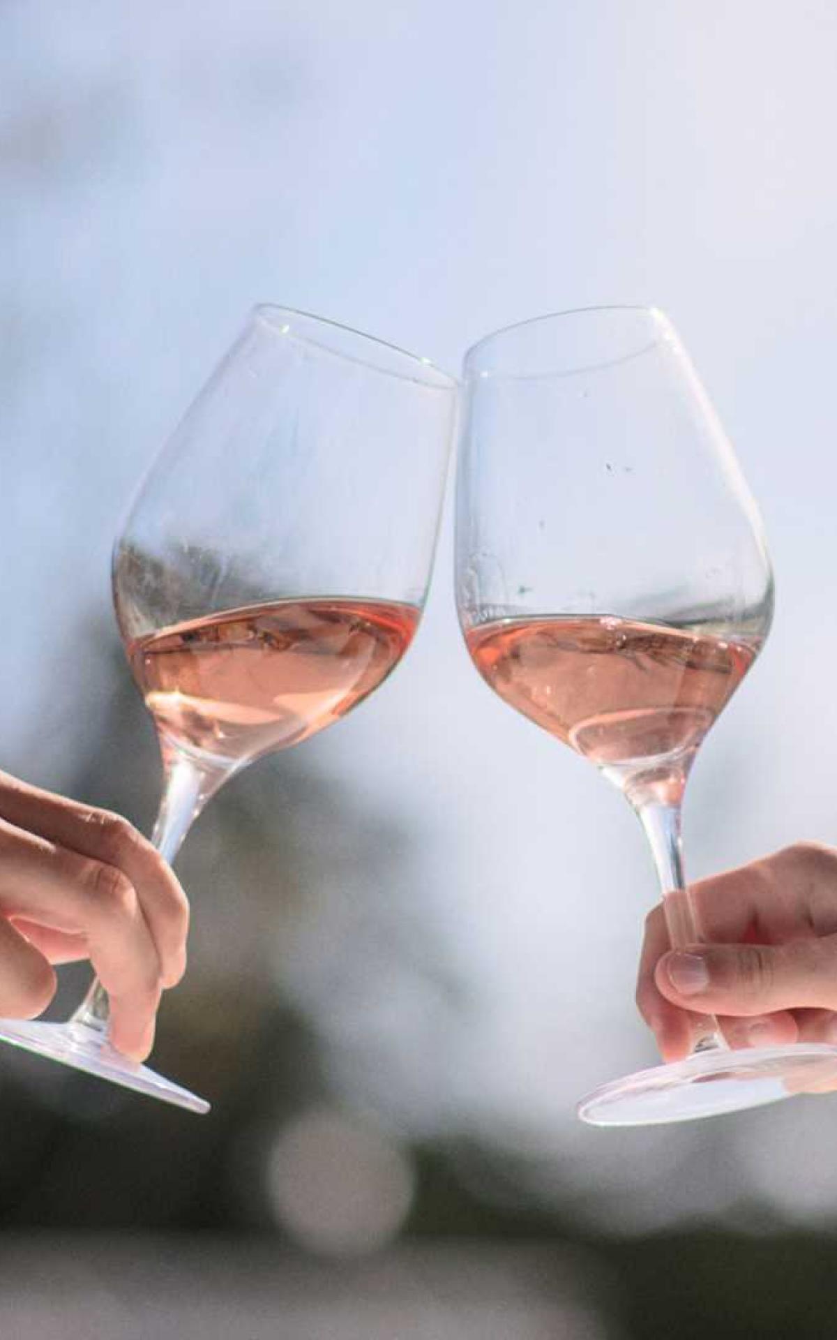 Signes (83870) : tourism in the Var department