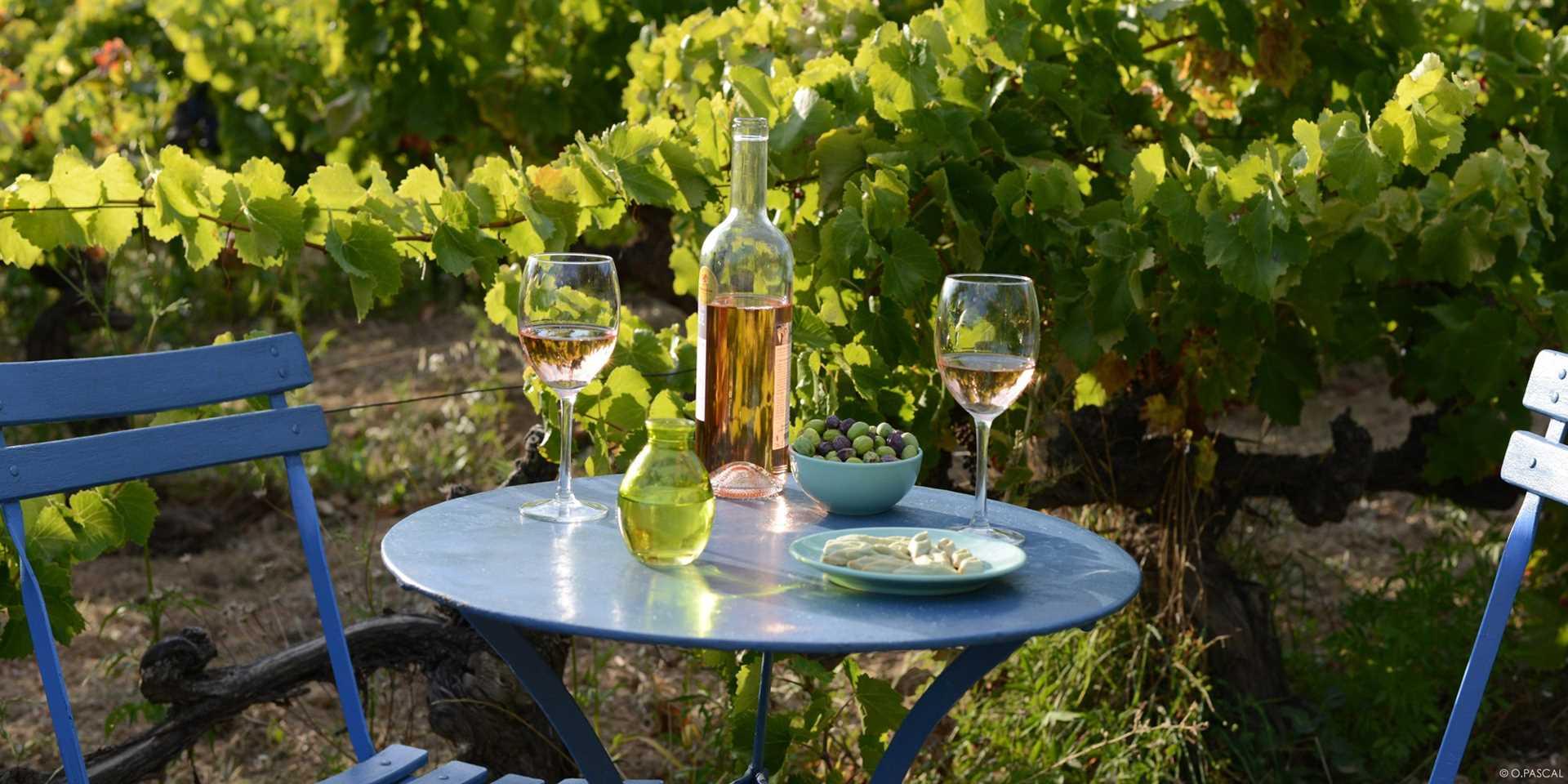 The wines of Provence and The Rhône | Provence-Alpes-Côte d'Azur Tourism