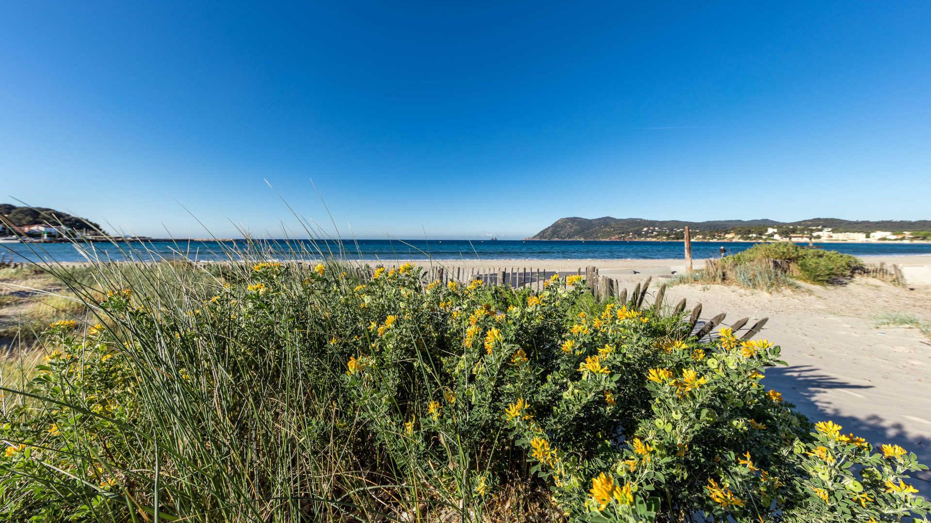 La Seyne-sur-Mer beaches -The best beaches | Provence-Alpes-Côte d'Azur ...