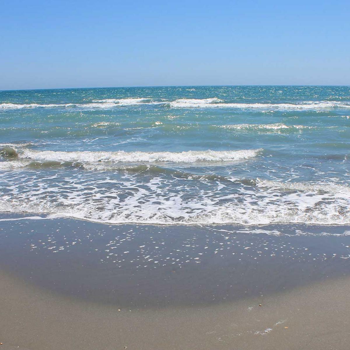 Plage Arles : les meilleures plages | Provence-Alpes-Côte d'Azur Tourisme