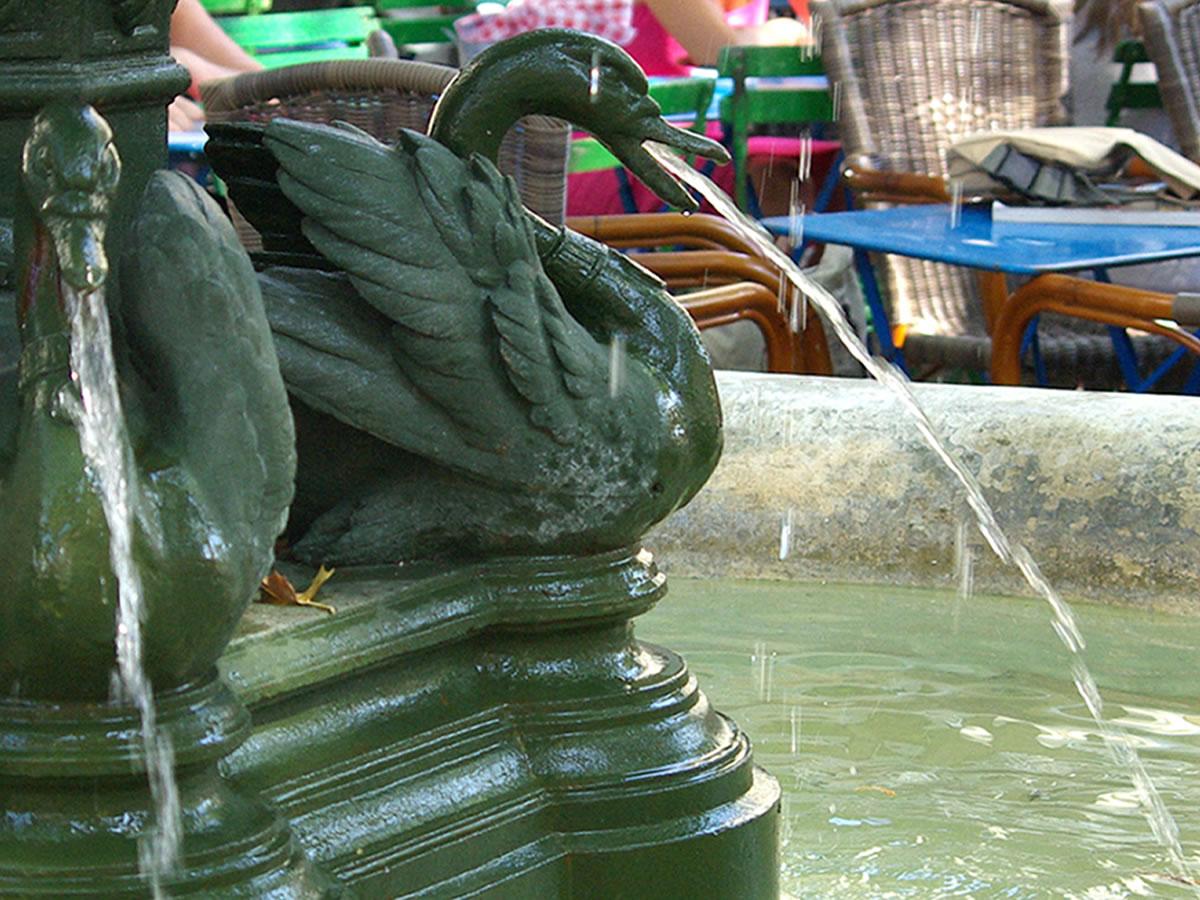 Top unexpected guided tours in Avignon | Provence-Alpes-Côte d'Azur Tourism