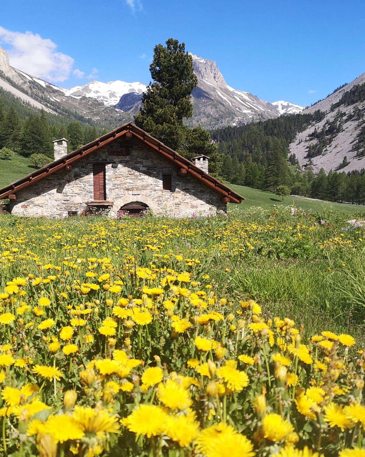 The best itinerary for the Route des Grandes Alpes