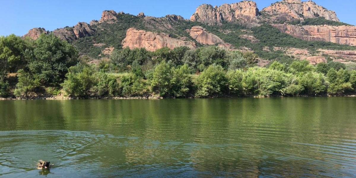 Rocher de Roquebrune – nature et randonnée | Provence-Alpes-Côte d'Azur ...