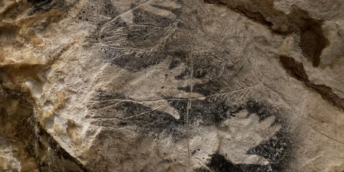 Cosquer Cave Marseille, from Sea to Land | Provence-Alpes-Côte d'Azur ...