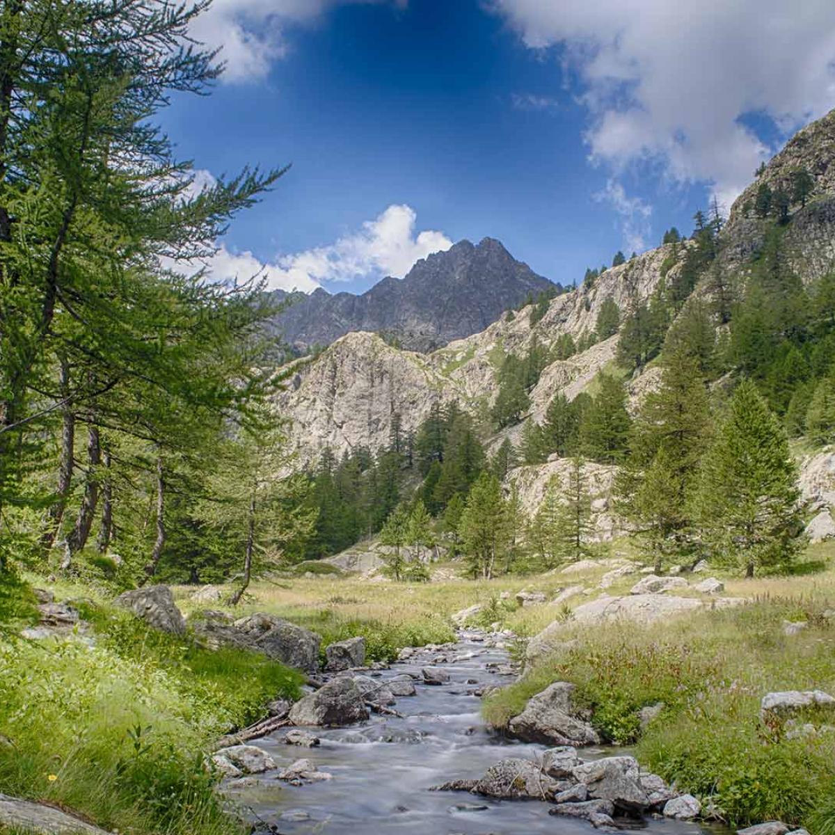 La Vallée de la Roya, entre Alpes et Méditerranée | Provence-Alpes-Côte ...