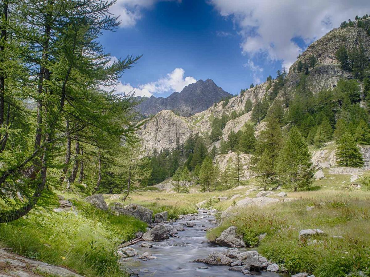 Gorges de Daluis, Haut-Var | Provence-Alpes-Côte d'Azur Tourisme