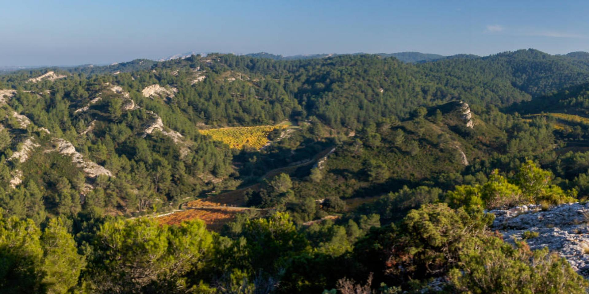 Top 10 excursions in the Alpilles Regional Nature Reserve | Provence ...